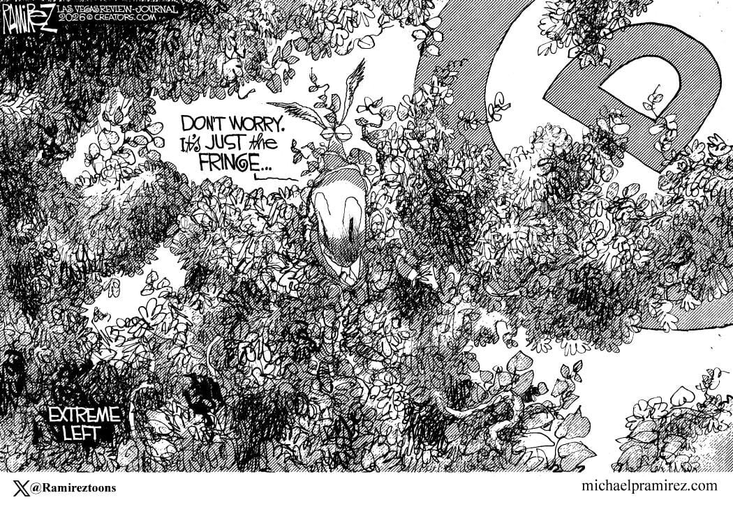 Editorial - Cartoon - Fringe | Local | rockymounttelegram.com