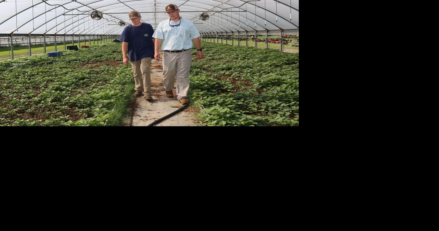 Leading in their field: As farms decline, two Nash County brothers work ...