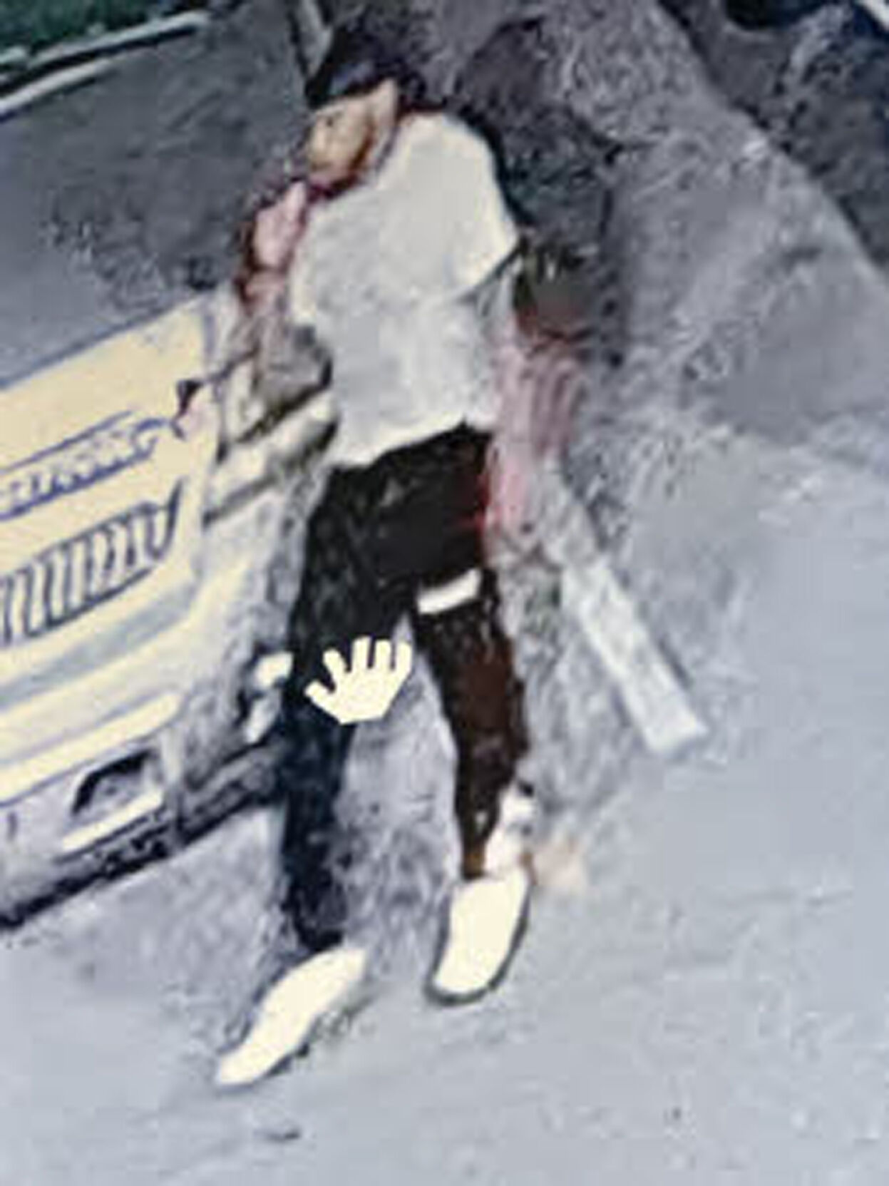 Assistance sought in Identifying vehicle breaking and entering suspect ...