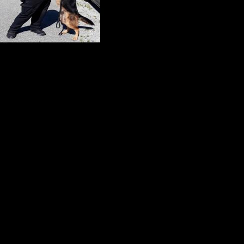 Gaston Police Department trains new K-9 Jax | Local News ...