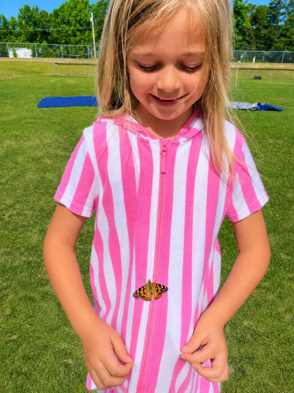 Cultivating Growth with Halifax Extension: Butterflies, pollinators and ...