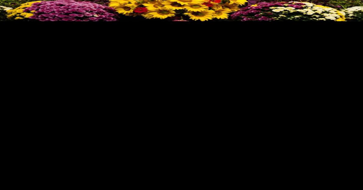 Congressman Don Davis takes oath of office: Sworn in for 119th Congress ...