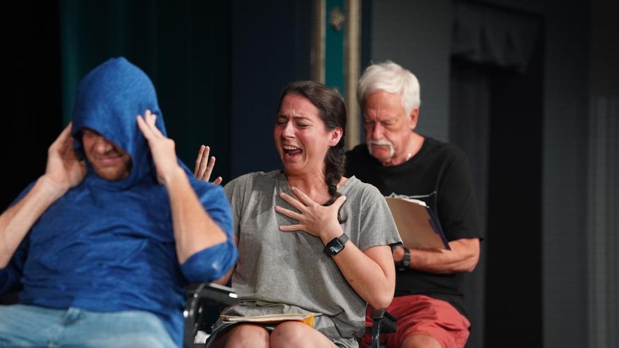 Lakeland bringing 'Laugh Alert' to Acorn | Local News | rrdailyherald.com