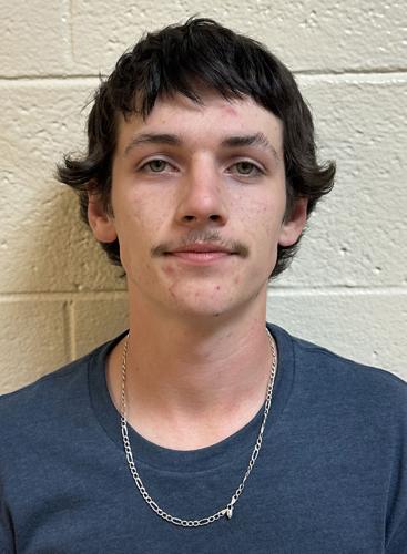 Provisional driver charged with DWI | Local News | rrdailyherald.com