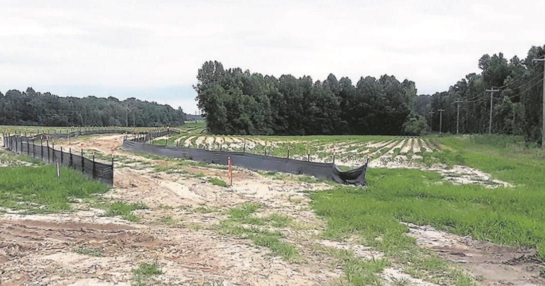 Facebook buys solar power in Enfield | Local News | rrdailyherald.com