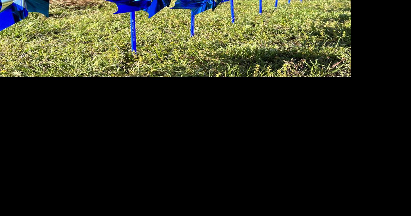 Volunteers plant pinwheel garden for child abuse awareness | Local News ...