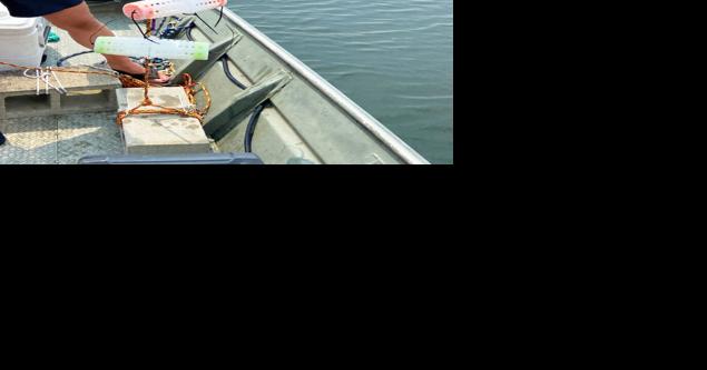 Annual LGA membership meeting planned for June | Local News ...