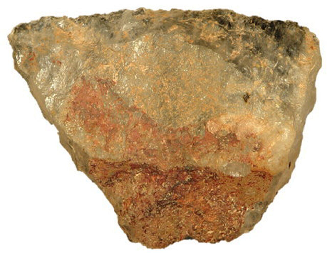 World’s oldest poisoned arrows identified | National | rrdailyherald.com