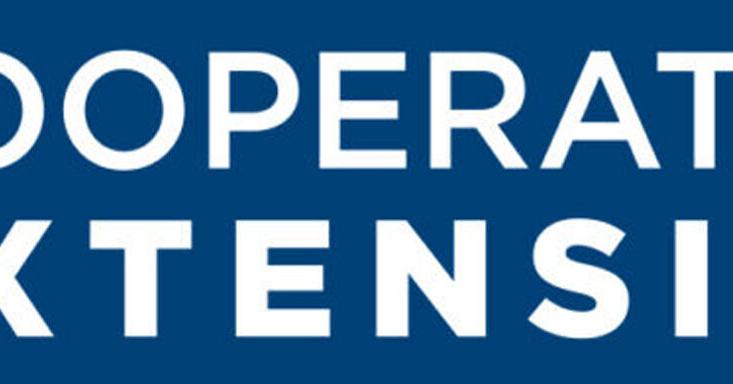 Cultivating Growth with Halifax Extension: How healthy side dishes can ...