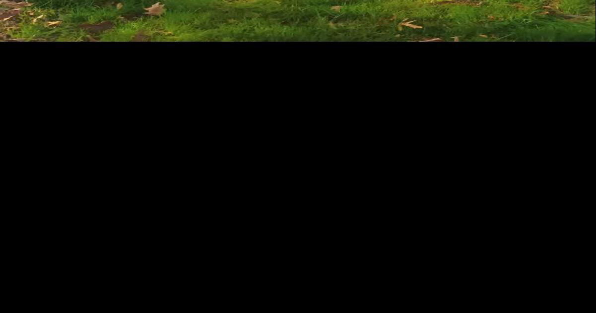 Cold case, 40th anniversary: Prayer gatherings planned for unsolved ...