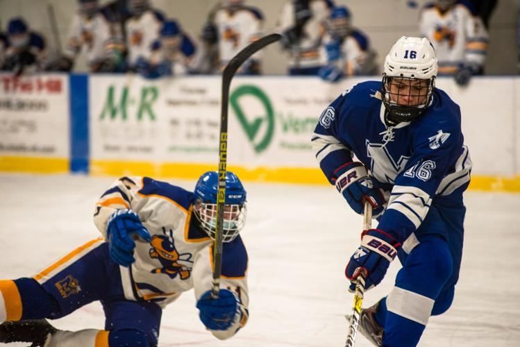 2020-2021 boys hockey D1 and D2 All-League and Rotary Selections ...