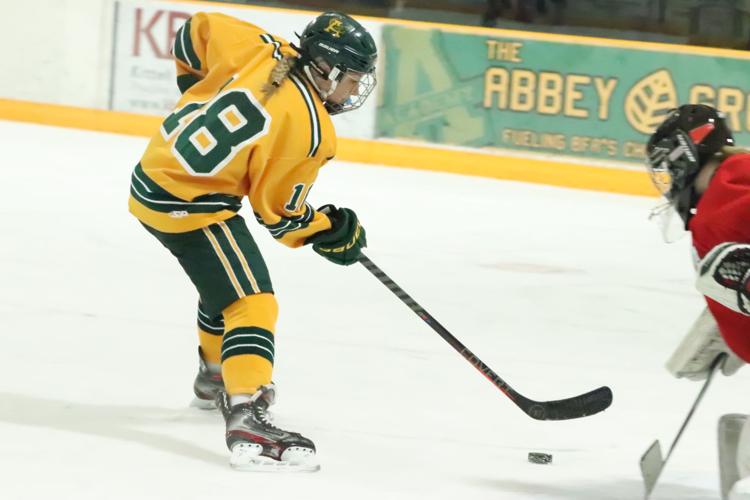 Connor scores 50th career goal in Comet victory | Sports | samessenger.com