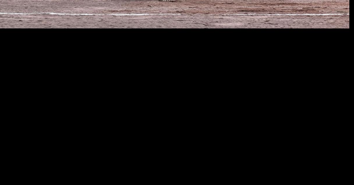 14U Rockets on the field | | samessenger.com