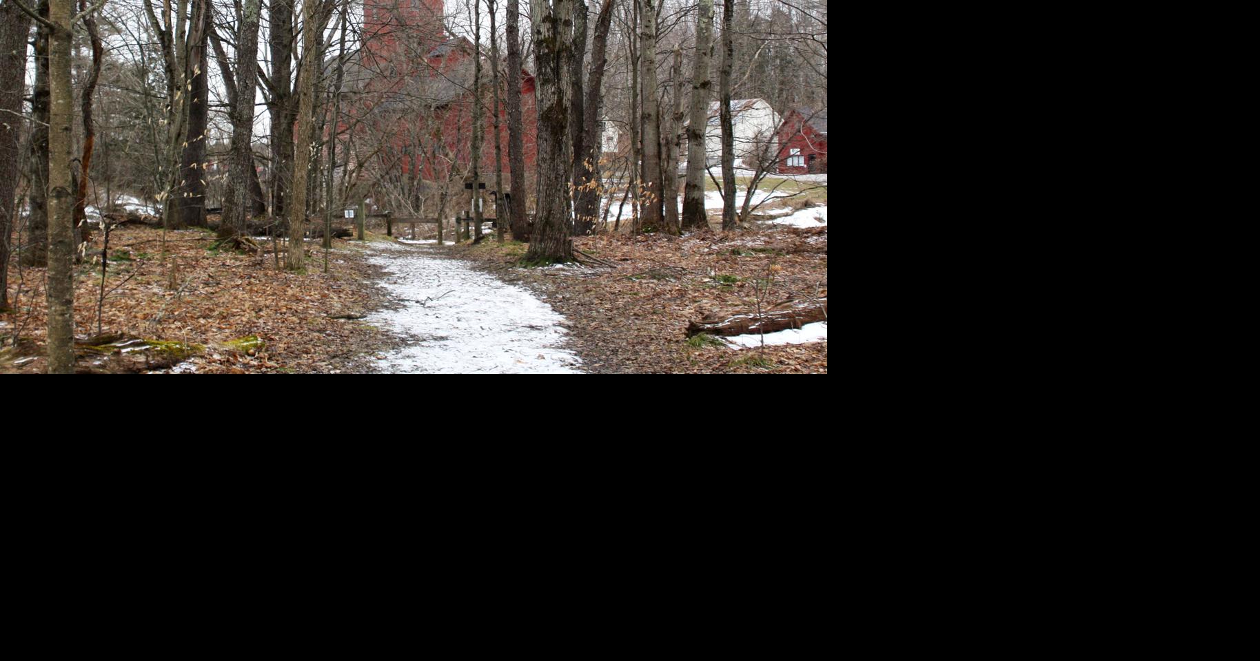 The Addams Family comes to Jericho; Residents want to know ‘why ...