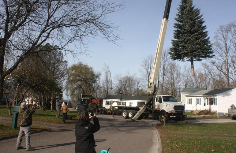 The Durfee tree goes to Montpelier | Local News | samessenger.com