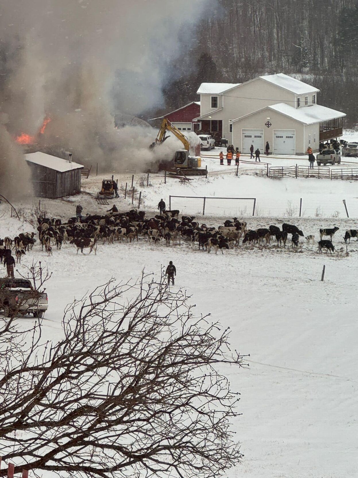 Weekend fire destroys Sheldon dairy barn; Incident prompts community ...