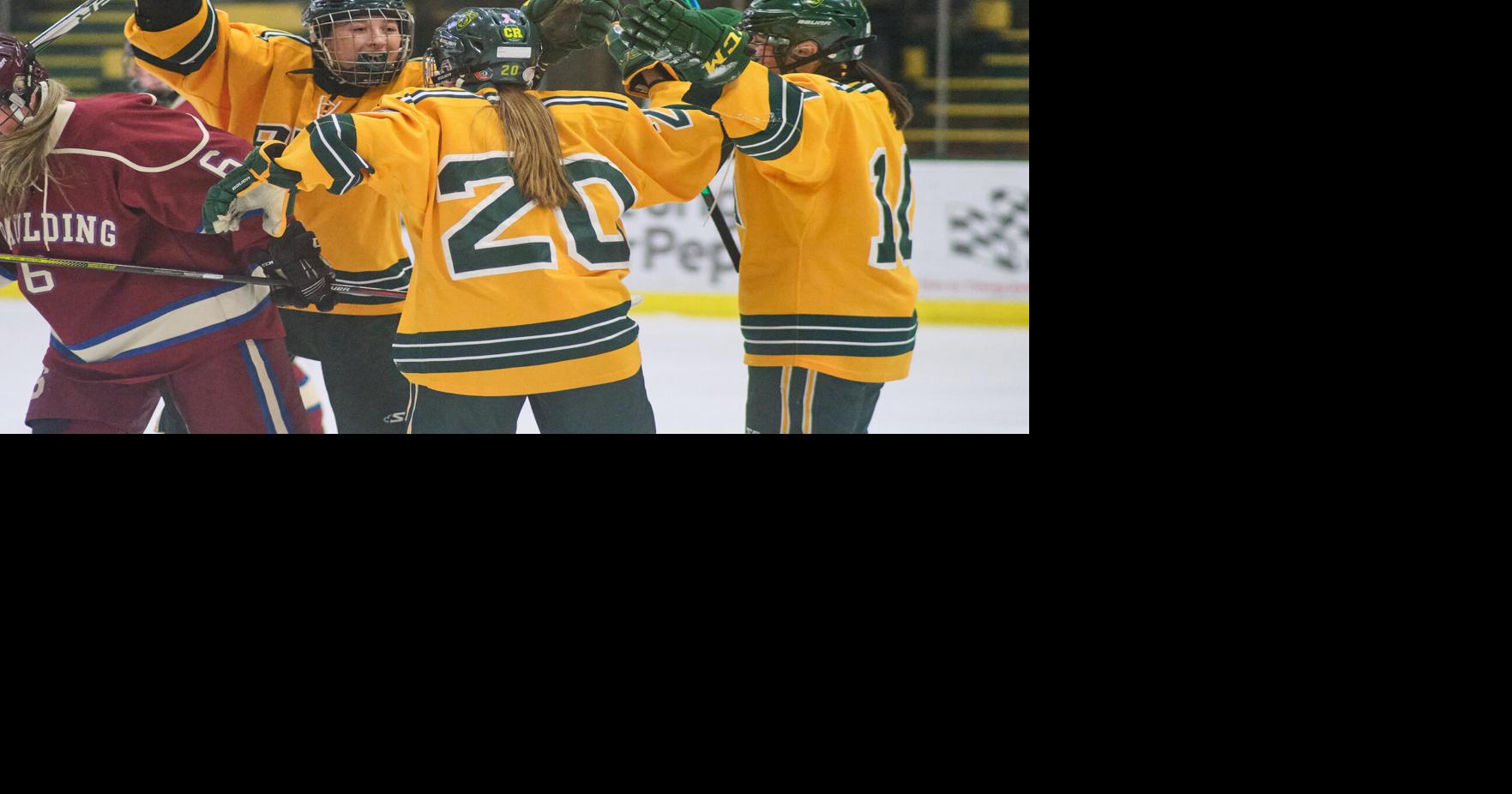 Comets top off perfect 22-0 season with State Championship | Sports ...