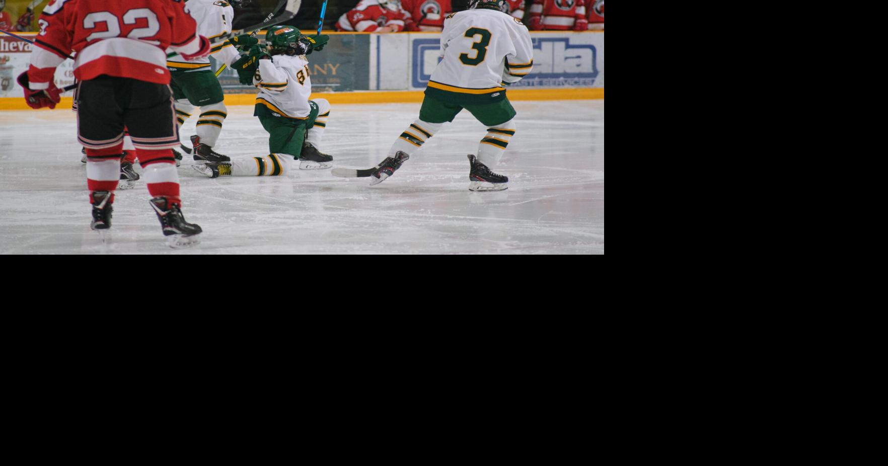 What to know about the Bobwhites and Comets as they kick off hockey ...