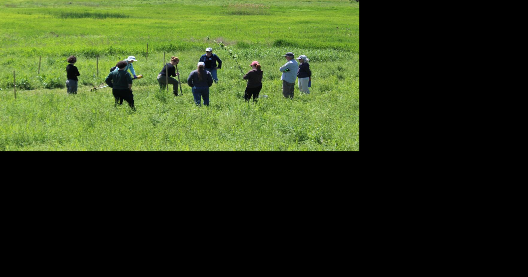 Franklin County Natural Resource Conservation District begins planting ...