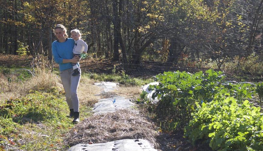 From homestead to small farm: Boneyard Farm grows in Bakersfield hills ...
