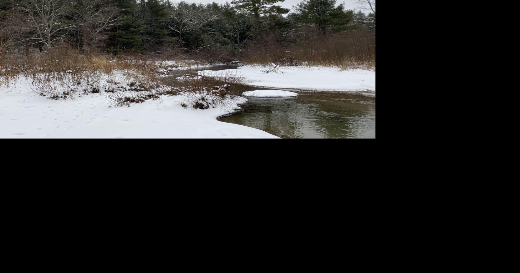 Opt Out: Mobbs Farm offers miles of trails for scenic snowshoeing and ...