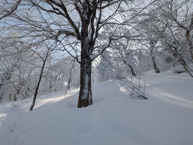 Outdoors with Ruthie: The Round Top and Spruce Lake hike in Sutton was ...