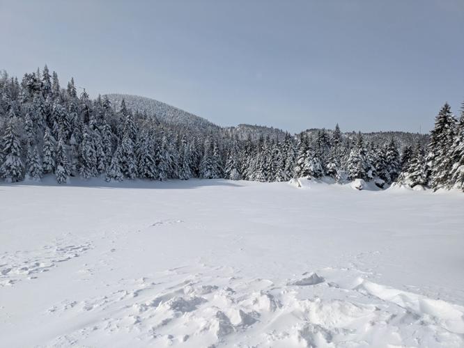Outdoors with Ruthie: The Round Top and Spruce Lake hike in Sutton was ...
