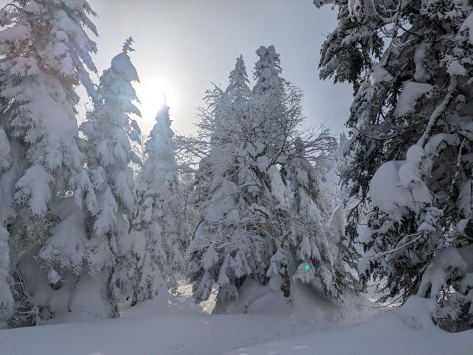 Outdoors with Ruthie: The Round Top and Spruce Lake hike in Sutton was ...