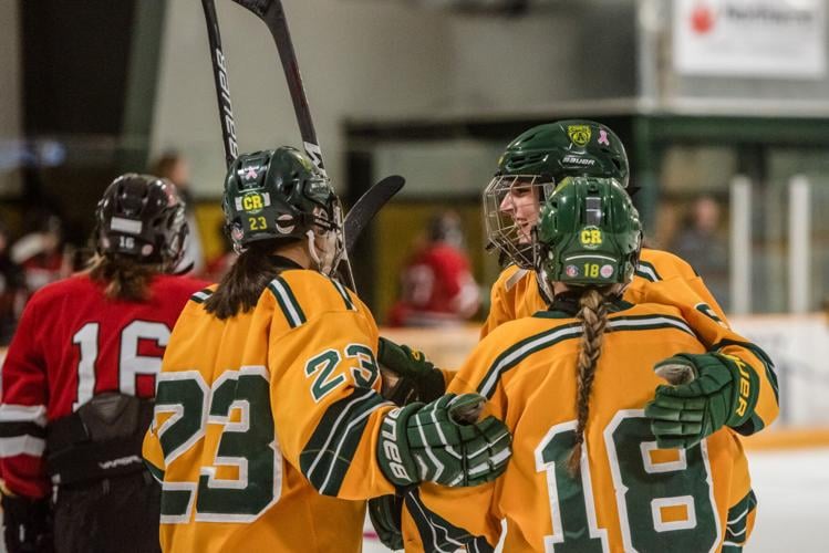 Comets cruise to playoff victory over Rutland; siblings Drew and Rowan ...