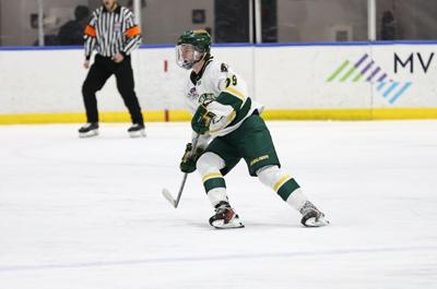 Local hockey players shine at USA Nationals in Utica | Sports ...