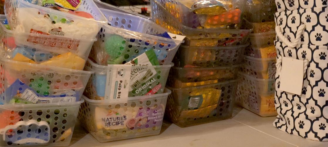 MVU student Samantha Sears creates pet care kits for those in need ...