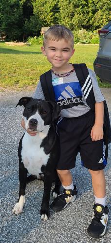 GALLERY: 13 Messenger readers shared photos of back to school in St ...