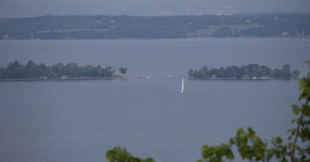 Invasive water flea found in parts of Lake Champlain | Local News ...