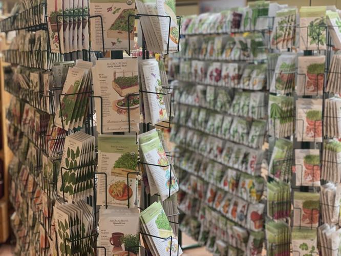 How to get a head start on the growing season, according to a UVM ...