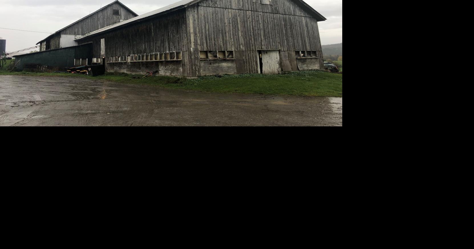 Misty Maples Farm in Fairfield awarded Barn Preservation grant ...