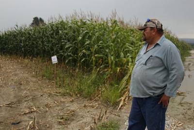 St. Albans farm testing reduced tillage | Local News | samessenger.com