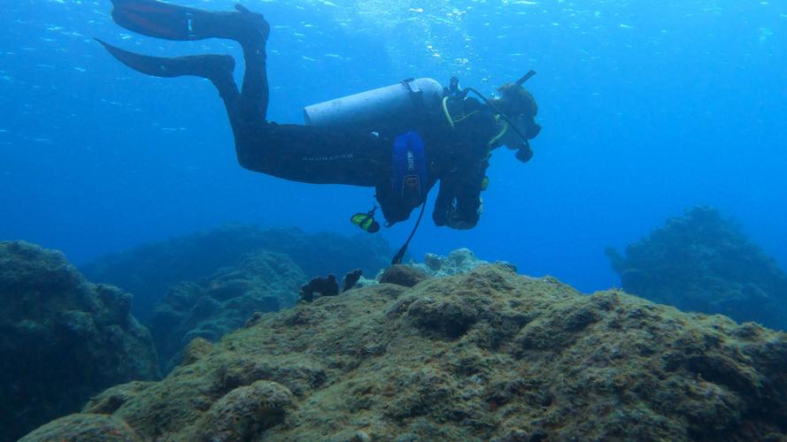 Athlete Profile: Isaiah Ludlam takes the plunge into scuba diving and ...
