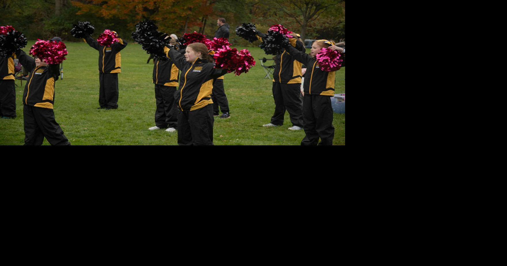 Steelers Cheer from Elite Gems in support of breast cancer awareness ...