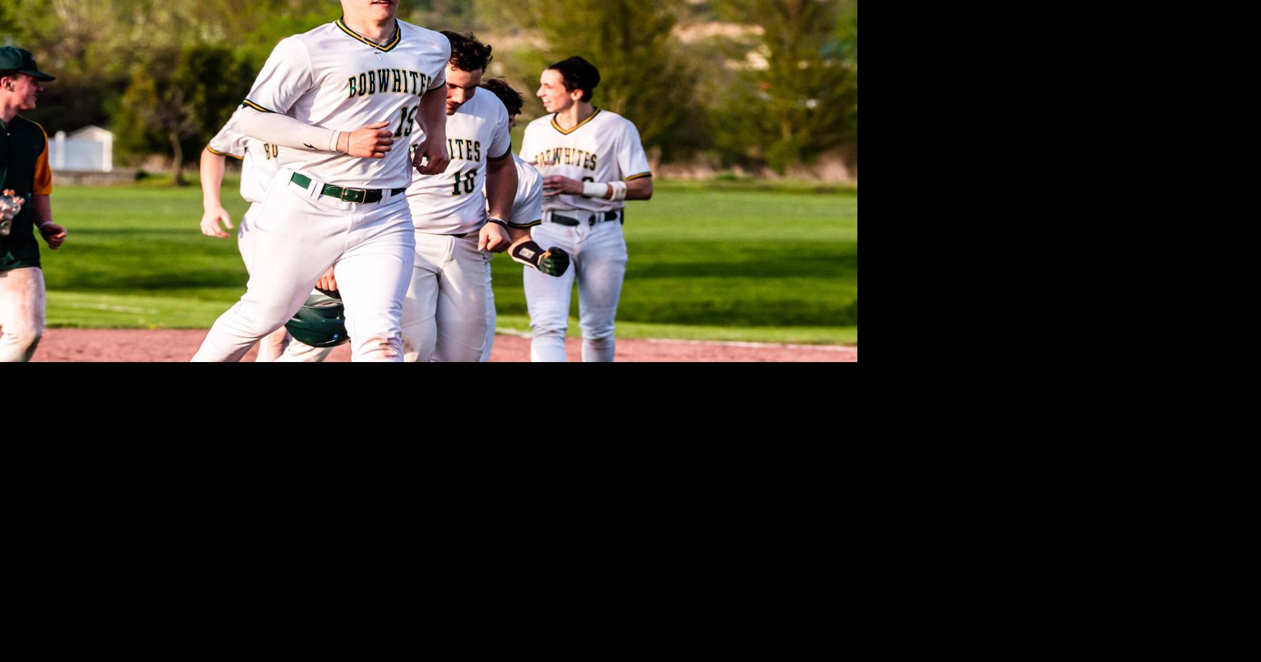 Congratulations to the BFA-St. Albans baseball players recognized with ...