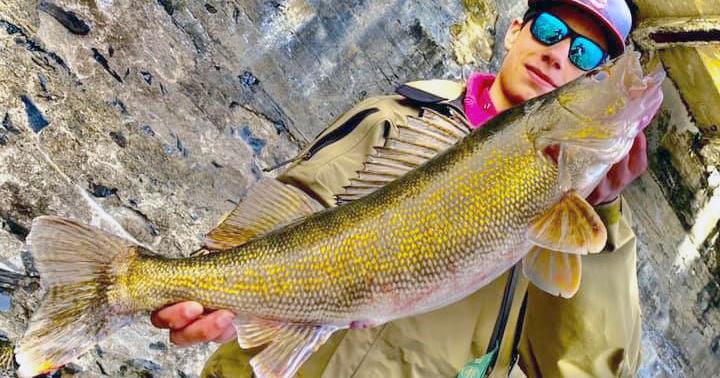 A tug on the line | Sports | samessenger.com