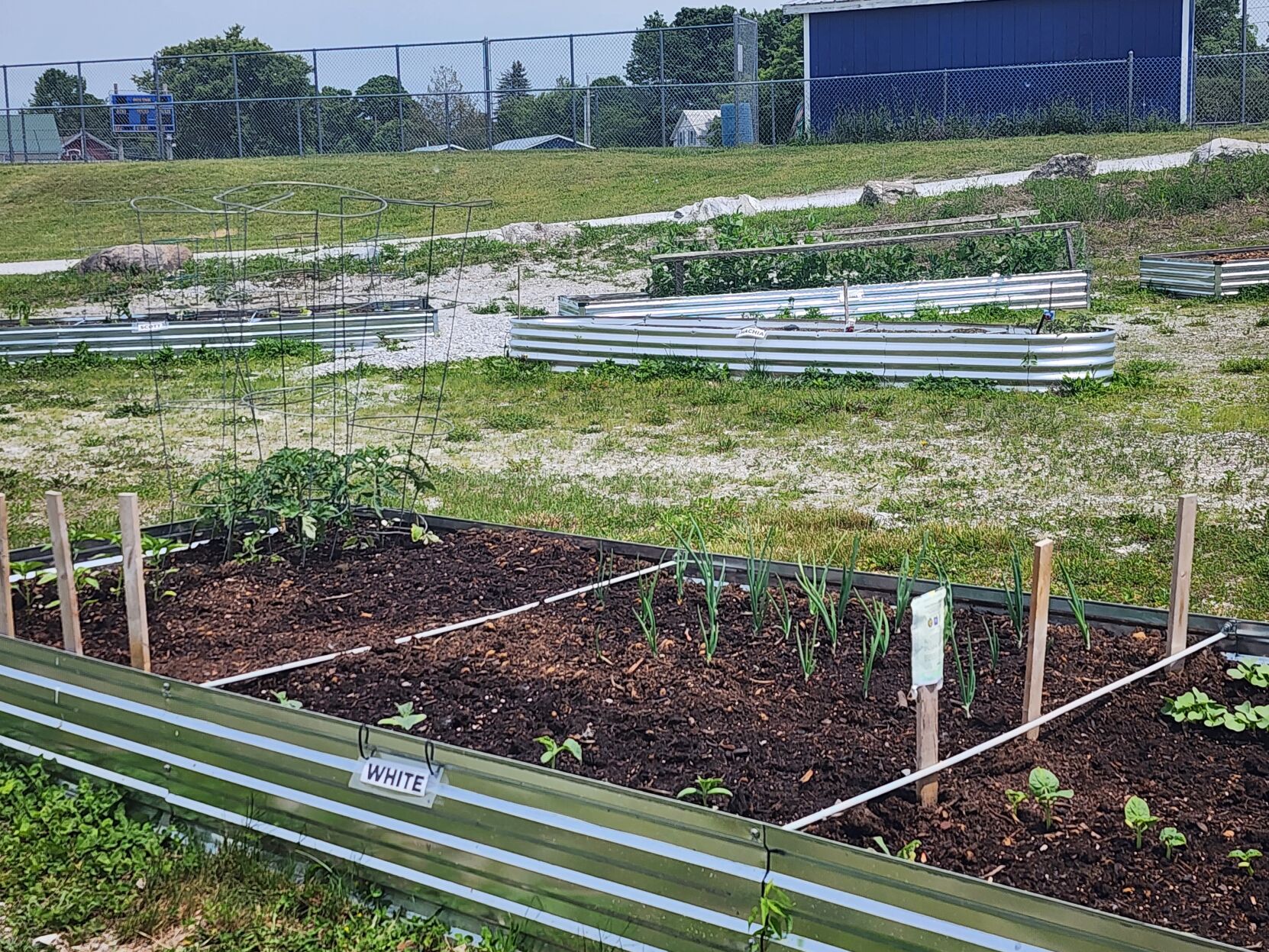 Growing joy and pride: How Franklin County's community gardens teach ...