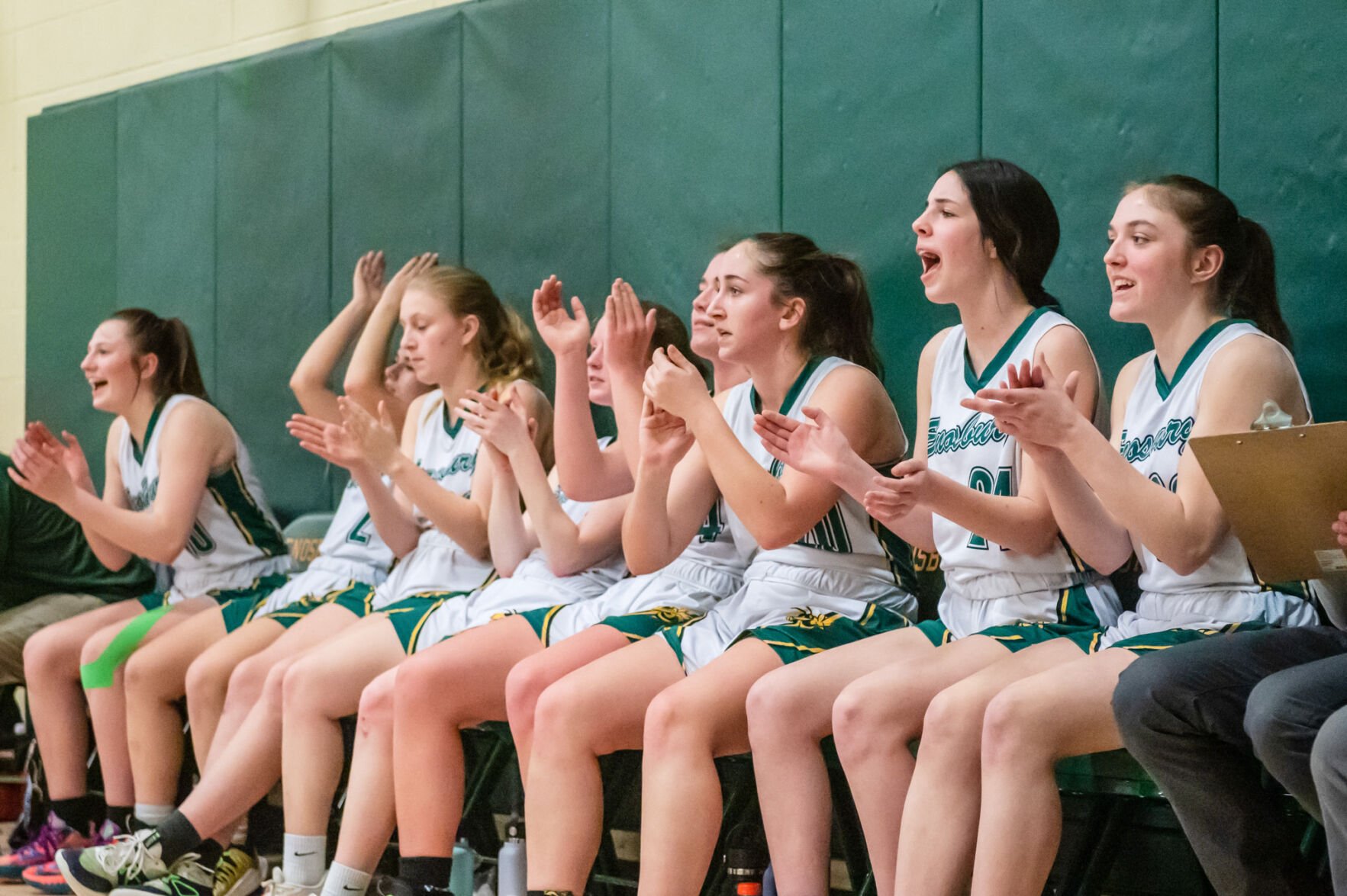 Hornets fall to North Country in D2 quarterfinal | Sports | samessenger.com