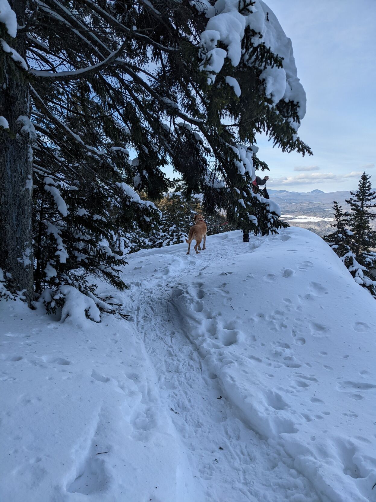 Outdoors with Ruthie: The Elmore Mountain fire tower is a tall one ...
