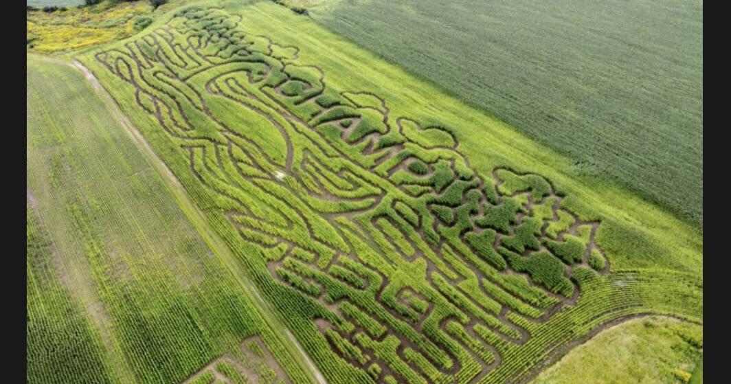 New corn maze unveiled in St. Albans | Local News | samessenger.com