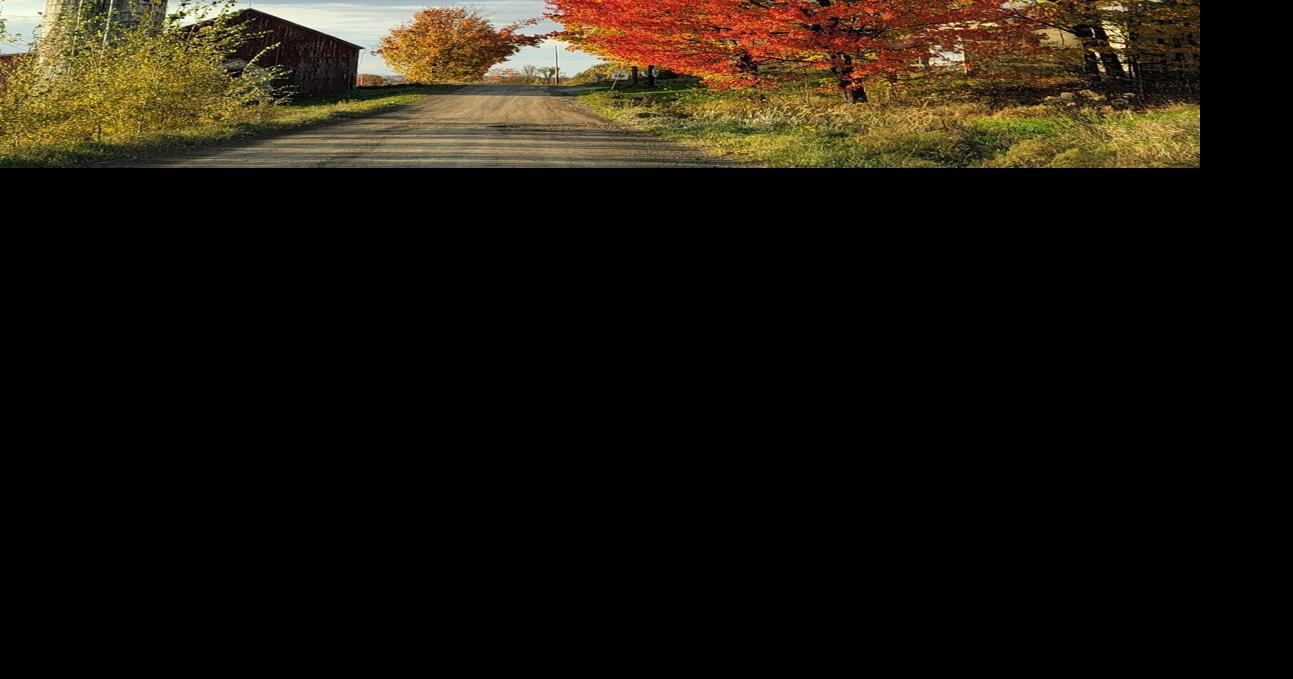 Foliage 2022 | | samessenger.com