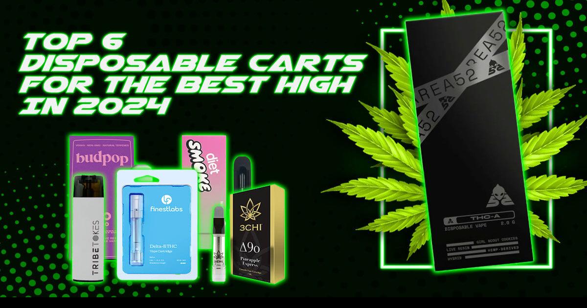 Top 6 Disposable Carts for the Best High in 2024 | Contributed Content ...