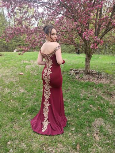 PHOTOS: Franklin County goes to prom 2026 | | samessenger.com