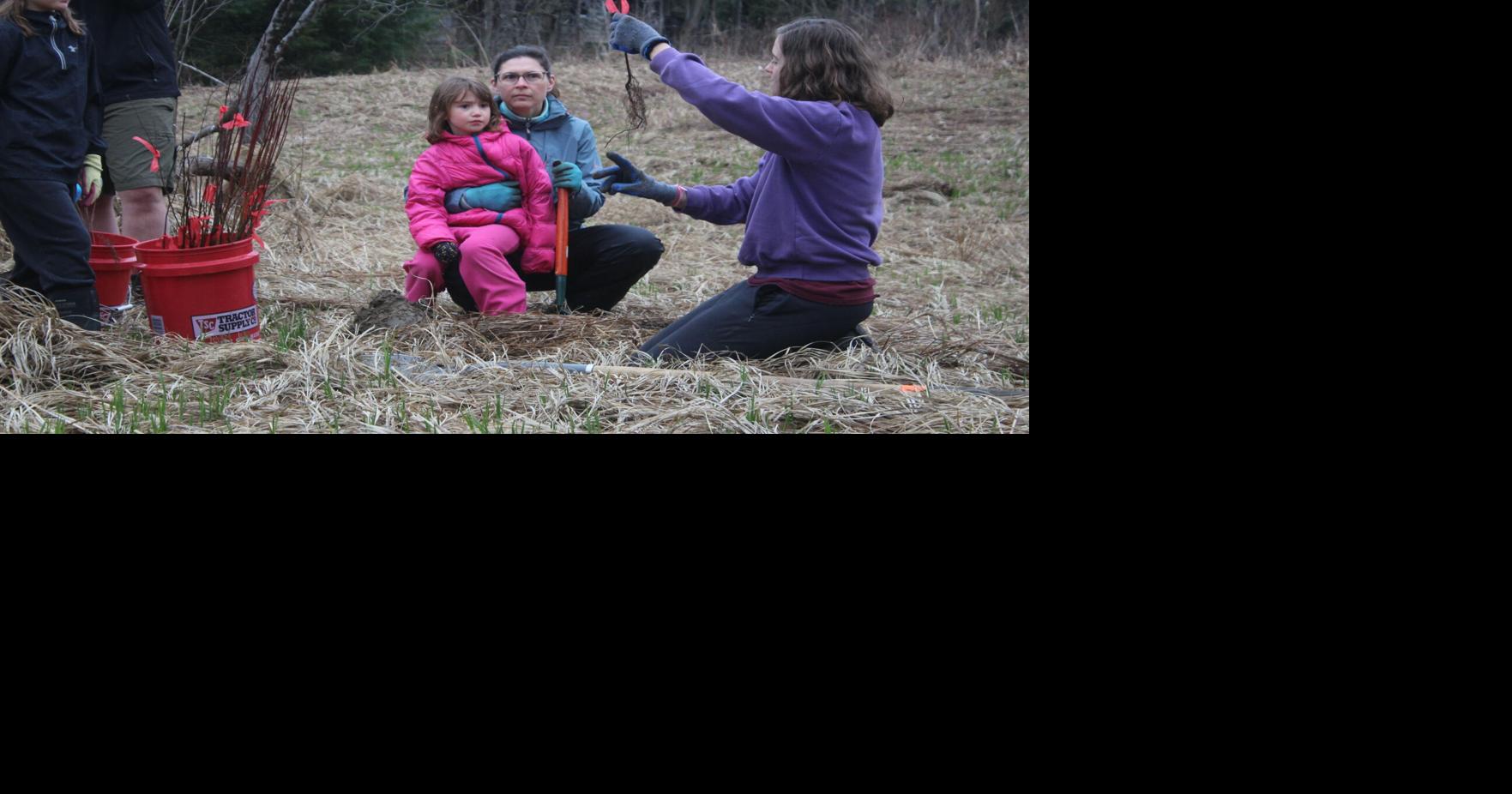 Fairfax celebrates Earth Day rooting down and branching out | Local ...