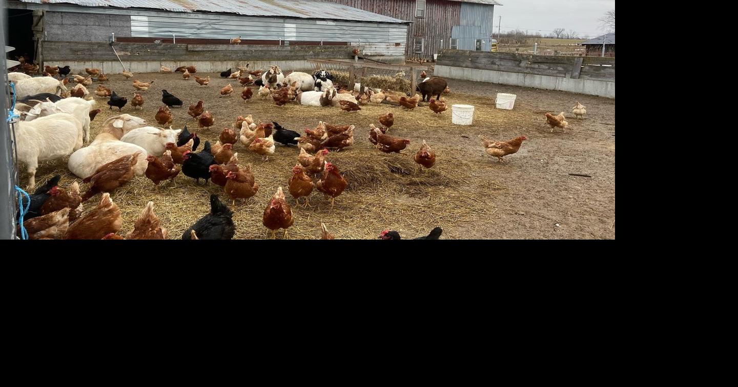Hunger Moon Farm in Fairfield receives Fund-a-Farmer grant | Business ...