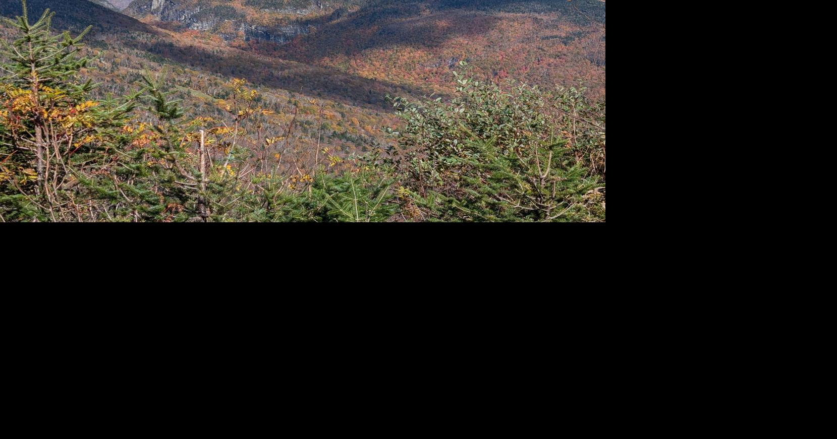 Nine photos from a quick hike up the Hazleton Trail | | samessenger.com